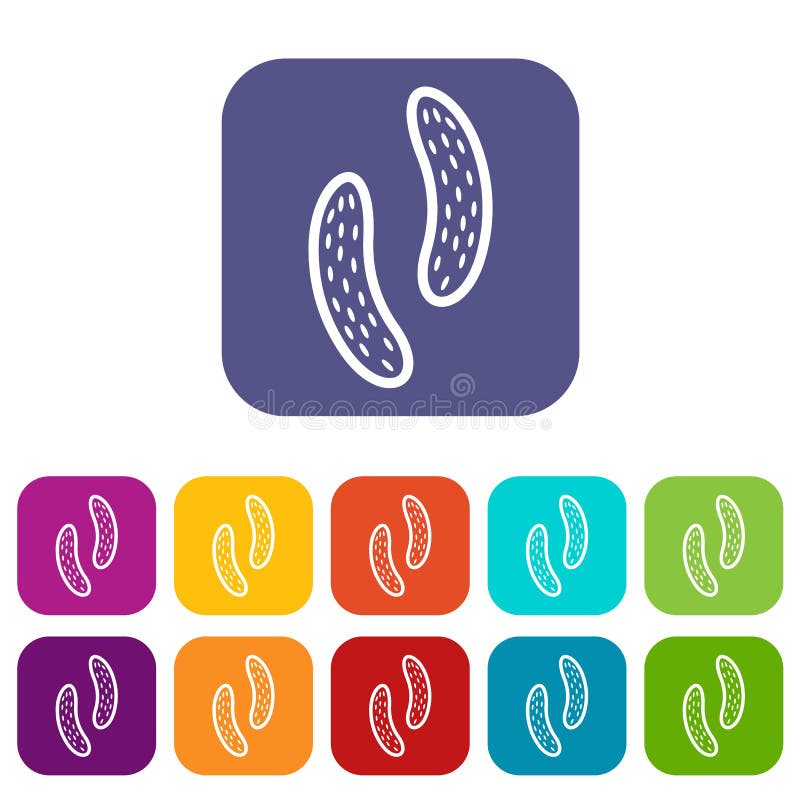 Epithelial Cell Icon Digital Green Stock Vector - Illustration of ...