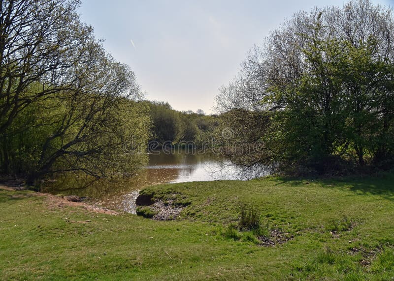 Epping Forest, England stock photo. Image of lush, environment - 124095728