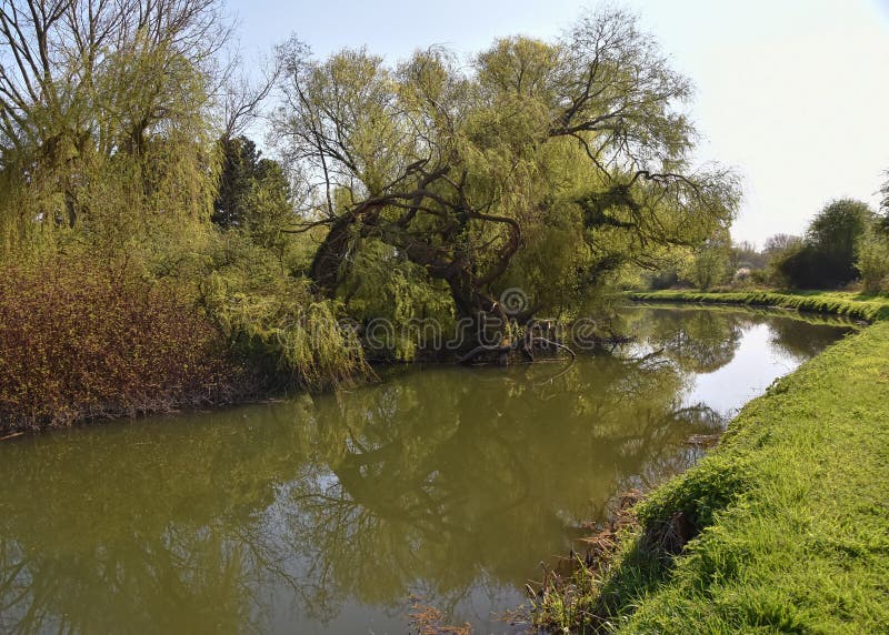 Epping Forest, England stock photo. Image of road, jungle - 124095404