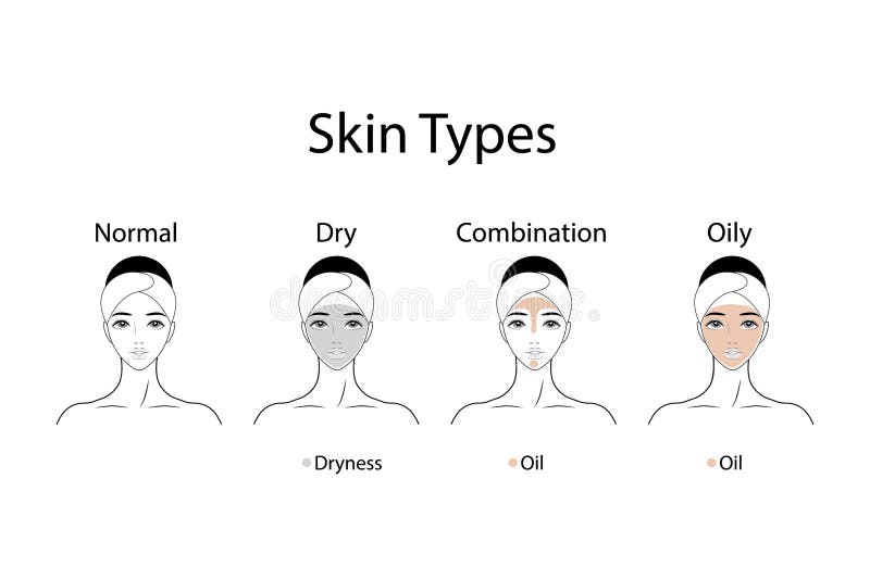 Oily Normal Dry Skin Stock Illustrations – 282 Oily Normal Dry Skin ...