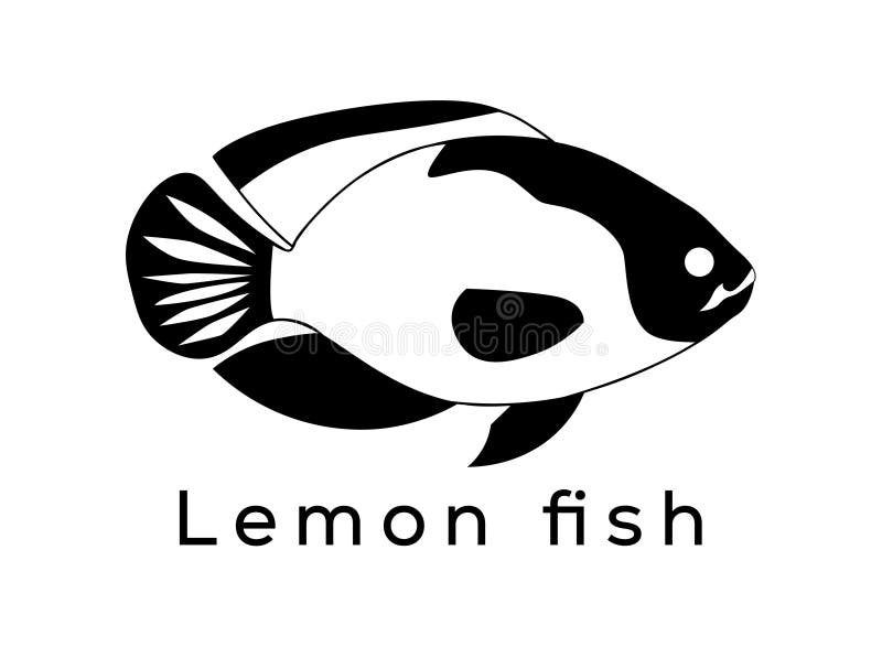 Lemon Fish silhouette stock vector. Illustration of wing - 269939617