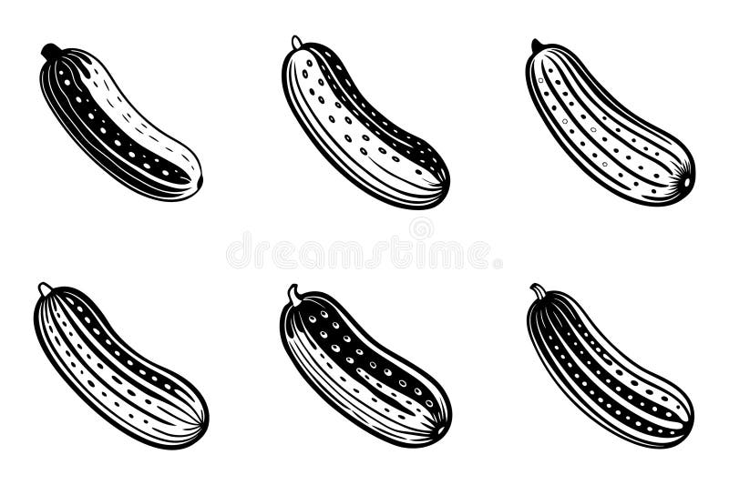 Cucumber Silhouette Icon Set is Isolated with Flat Outline Vector ...