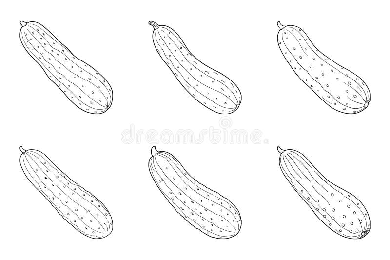 Cucumber Silhouette Icon Set is Isolated with Flat Outline Vector ...