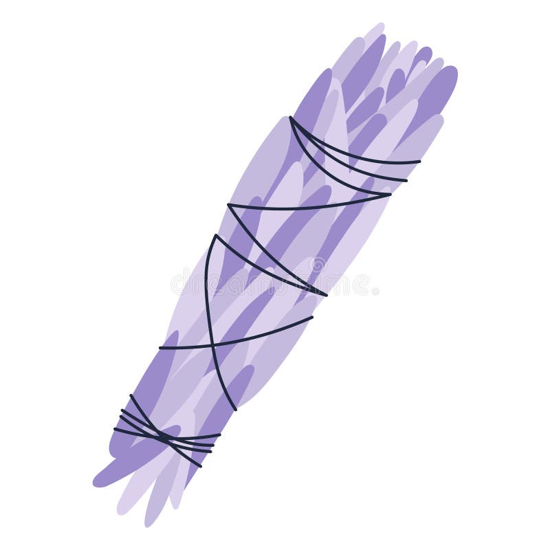 Sage Bundle Vector Illustration Stock Vector - Illustration of shaman ...