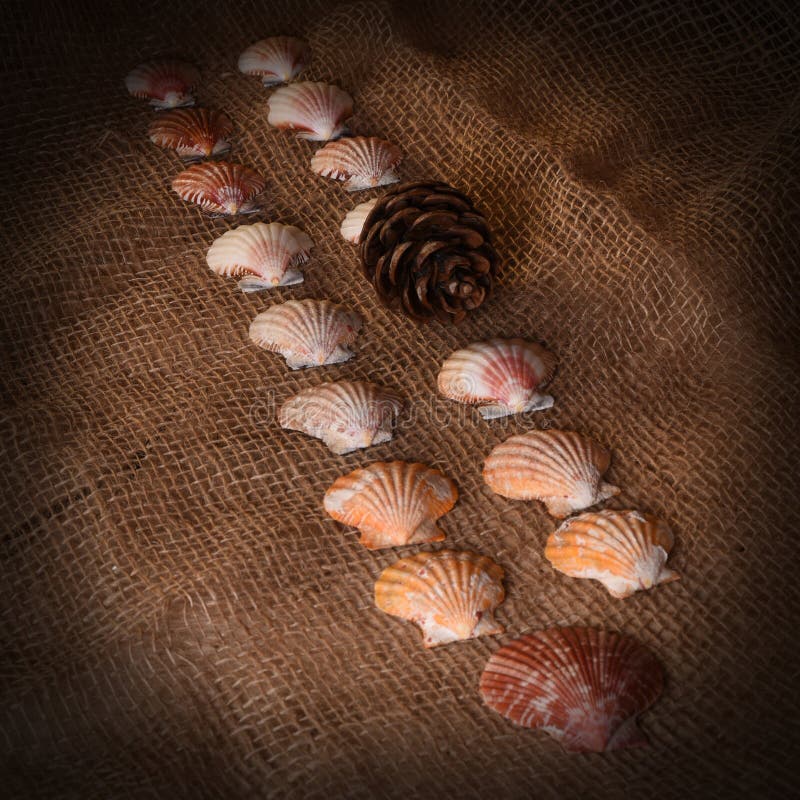 Equal System of the Same. but ... we are All Different but All Equal ...