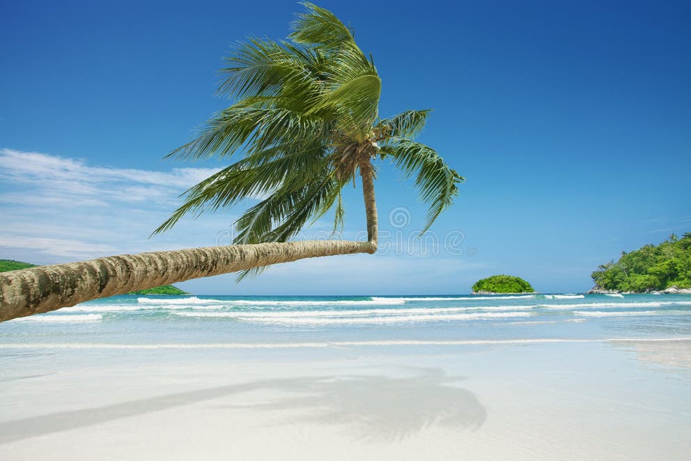 Equator stock photo. Image of shoreline, shore, caribbean - 21311106