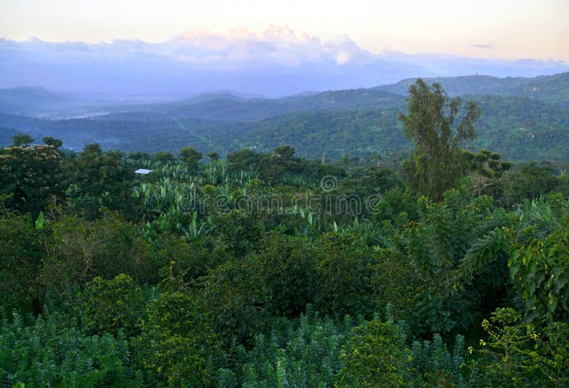 Equatorial Jungle. Mountains Covered with Dense Jungle Stock Photo ...