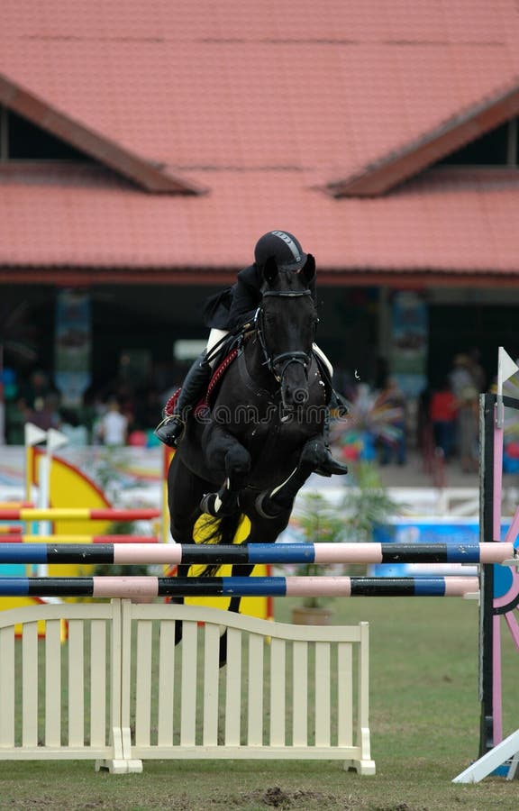 Equestrian stock image. Image of tersk, championship, competition - 727601