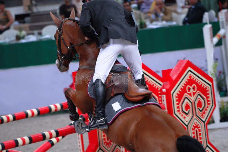 Equestrian stock image. Image of tersk, championship, competition - 727601