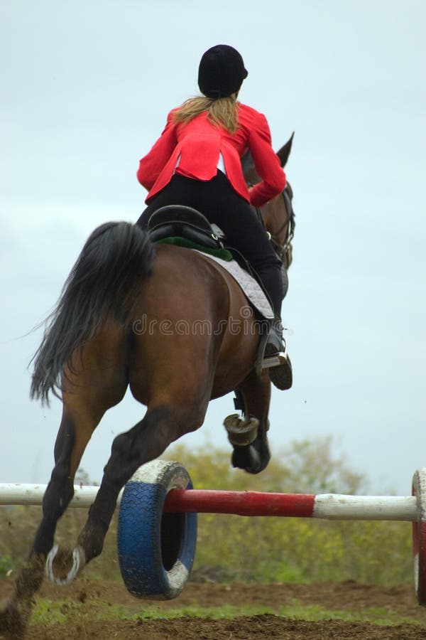 Equestrian Horse and Rider in Action Stock Photo - Image of competition ...