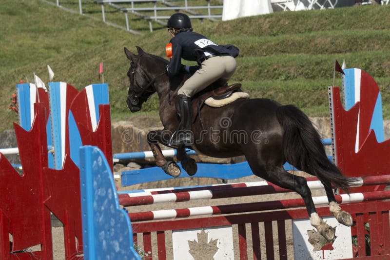 Equestrian - horse jumping editorial photography. Image of hurdle ... Equestrian - horse jumping editorial photography. Image of hurdle ...