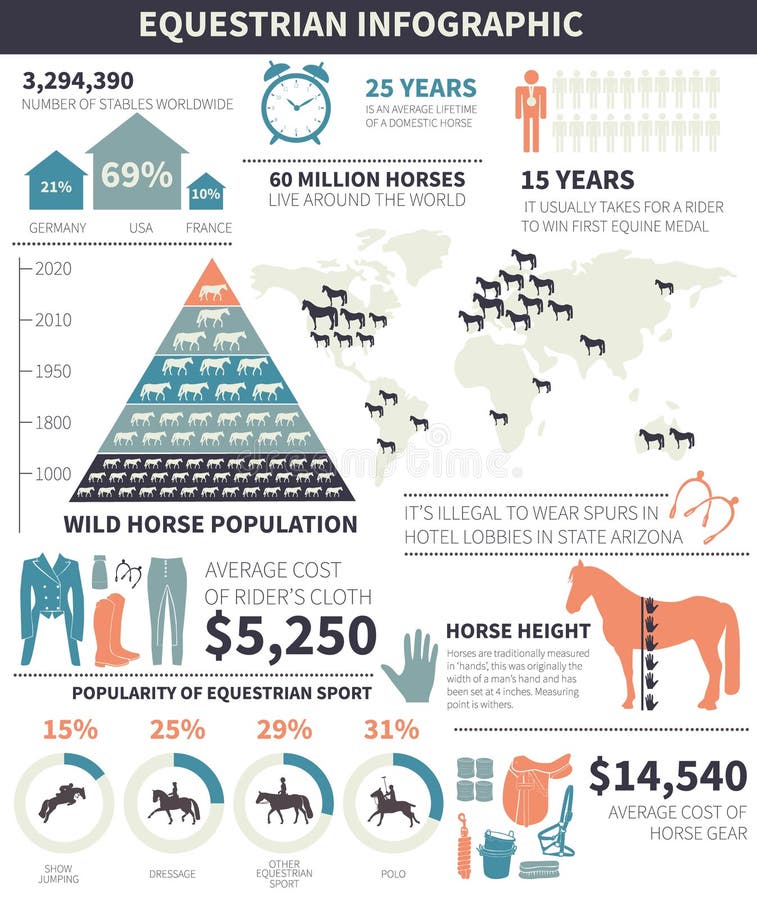 Equestrian infographic stock vector. Illustration of detailed - 38458883