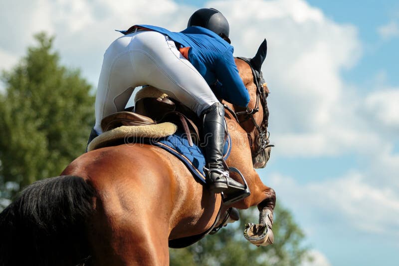 Equestrian Riding a Brown Horse. Stock Photo - Image of active, jumping ...