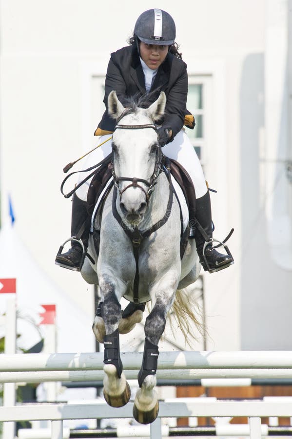 Equestrian Show Jumping editorial stock photo. Image of mammal - 10075738