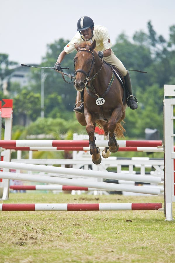 Equestrian Show Jumping editorial photography. Image of rider - 14352907