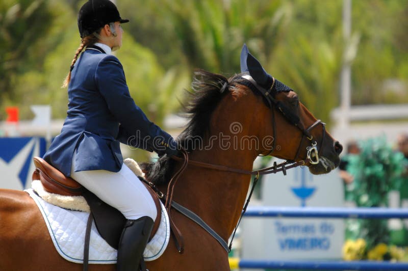 Equestrian Show Jumping editorial image. Image of paddock - 5907515