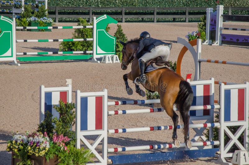 Equestrian Show Jumping Competition Editorial Stock Photo - Image of ... Equestrian Show Jumping Competition Editorial Stock Photo - Image of ...