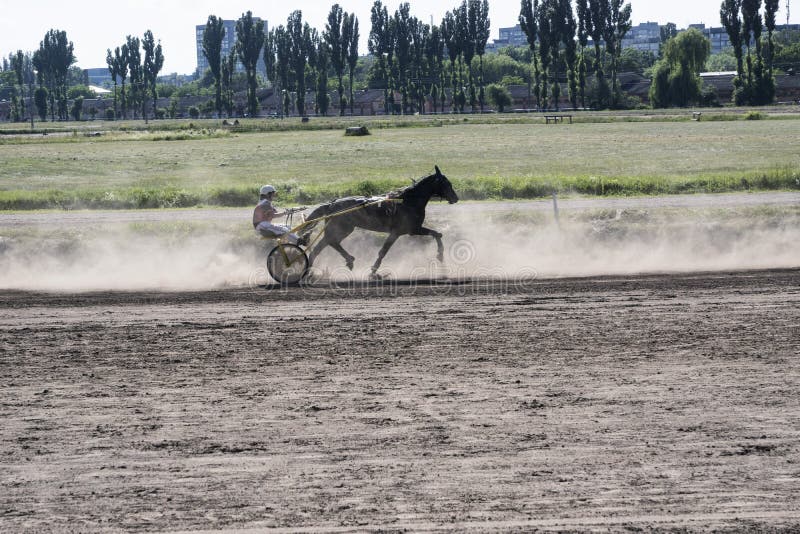 Equestrian sport editorial image. Image of fast, hippodrome - 157578910