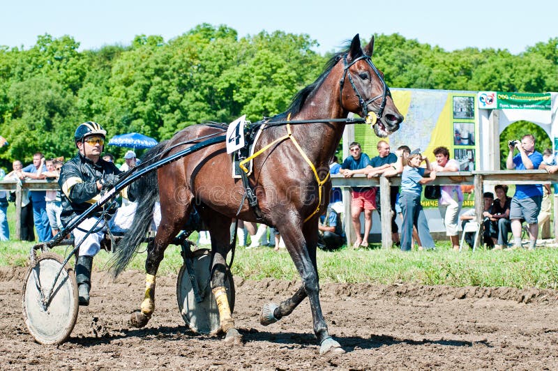 Equestrian Sport. Girl Child-rider Show Jumps Editorial Photo - Image ...