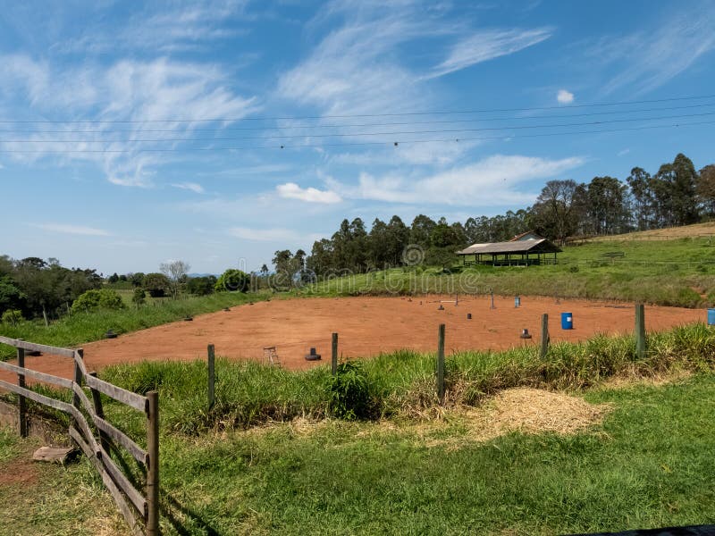 Equestrian training field. stock photo. Image of plant - 260401548