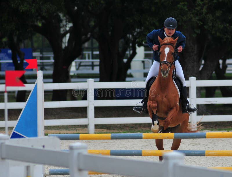 Equestrianism hurdle editorial photography. Image of driving - 38721247