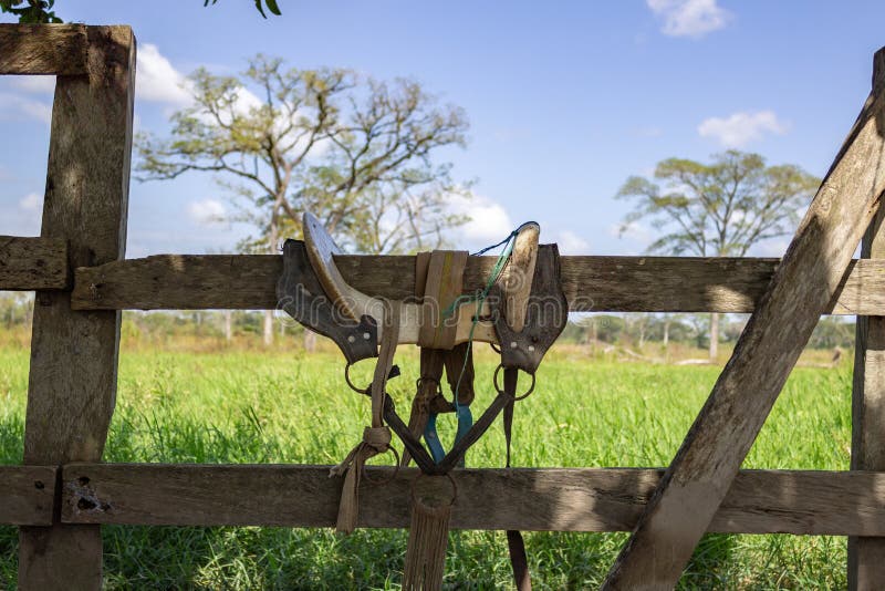 Equipment of horses stock image. Image of outdoor, equine - 137134877