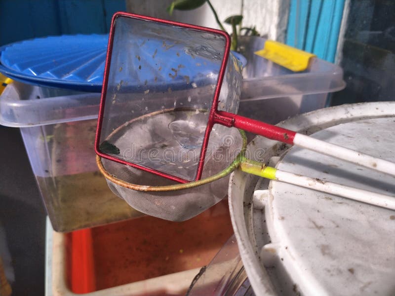 Equipment for Keeping Fish, Net and a Small Dipper Stock Image - Image ...