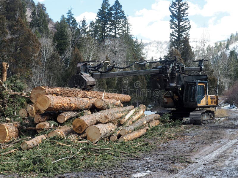 Logging Site in the Winter Taiga. Steep Slope of a Cleared Area in a ...