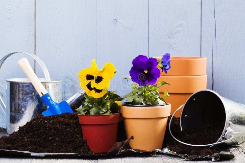Equipment for Planting Flowers in the Home Garden Stock Photo - Image ...
