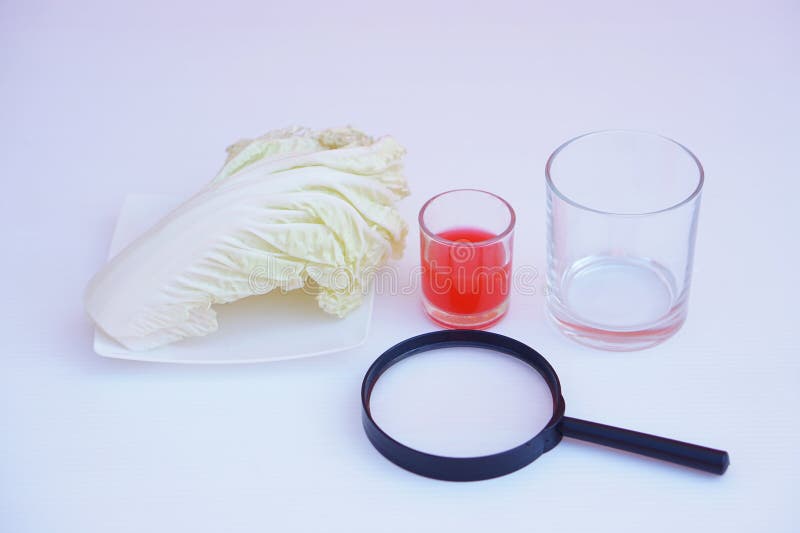 Equipment Prepared for Doing Science Experiment Stock Photo - Image of ...