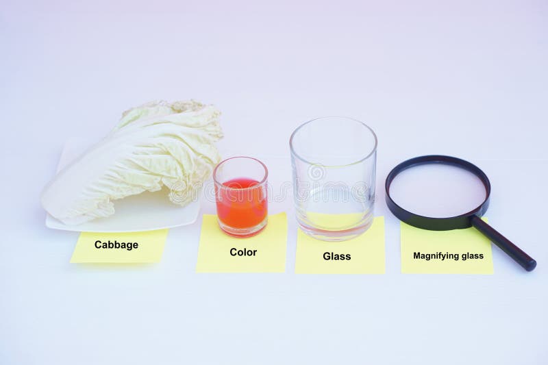 Equipment Prepared for Doing Science Experiment Lesson. Stock Photo ...