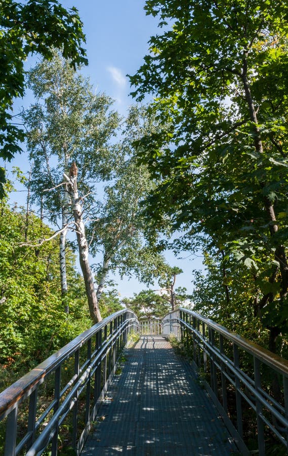 A Fenced Walking Path Along a Backlit Field in the Early Morning Mist ...