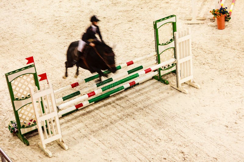 Equitation Toon Het Springen, Paard En Ruiter Over Sprong Stock ...