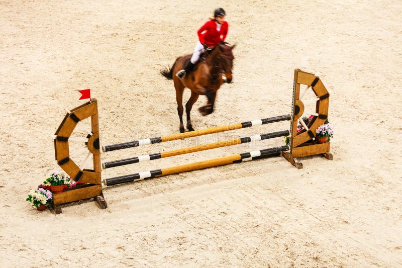 Equitation Toon Het Springen, Paard En Ruiter Over Sprong Stock Foto ...