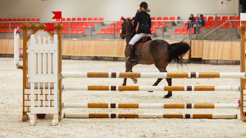 Equitation Toon Het Springen, Paard En Ruiter Over Sprong Stock Foto ...