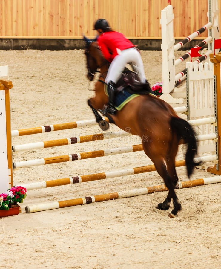 Equitation Zeigen Sie Das Springen, Pferd Und Reiter über Sprung ...