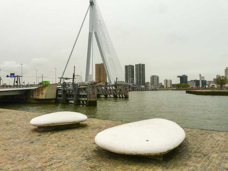 Erasmus Bridge Over the Nieuwe Maas River in Rotterdam Editorial Image ...
