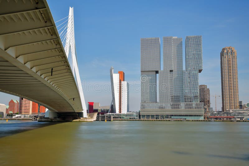 Erasmus Bridge Over the River Meuse with Modern Skyscrapers in the ...