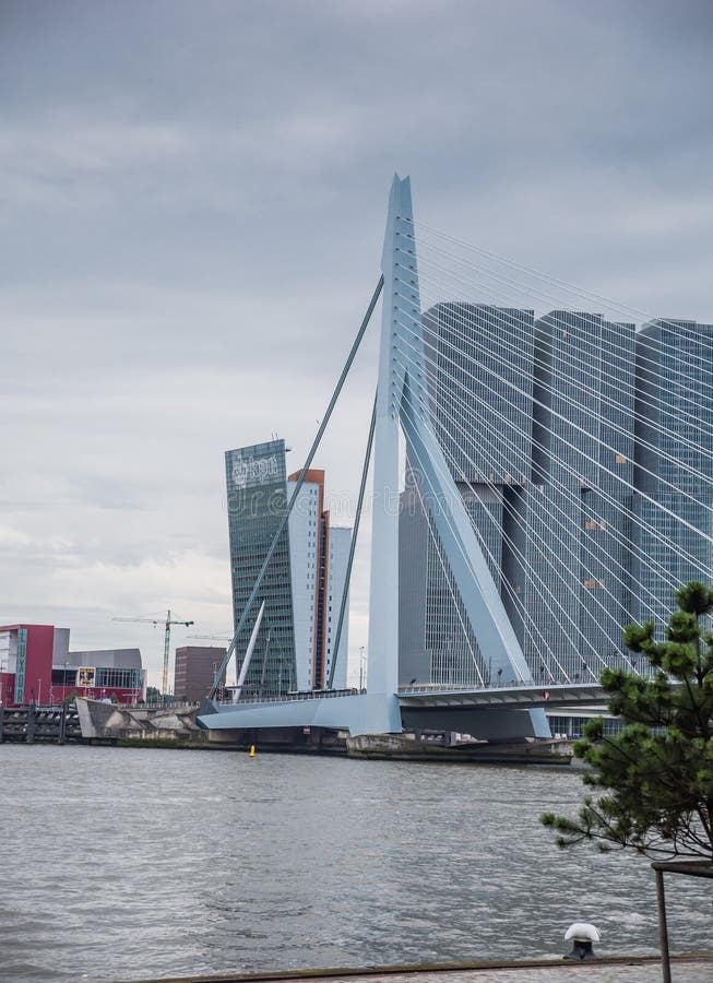 Erasmus Brug Rotterdam, Nederland Tegen Donkere Hemel Redactionele ...