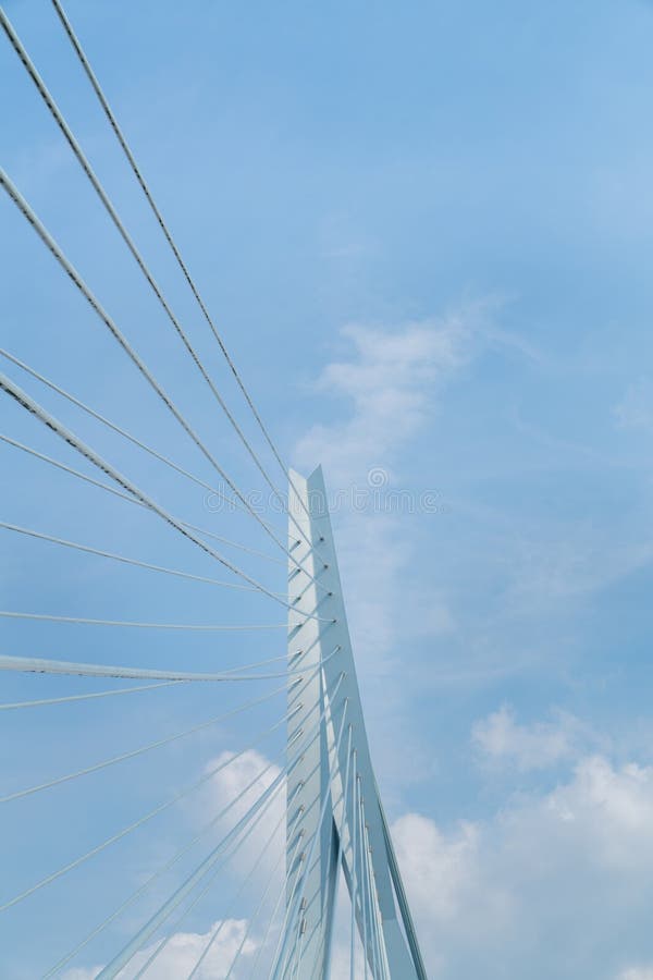 Erasmus Cable Stay Bridge Rotterdam Editorial Stock Photo - Image of ...