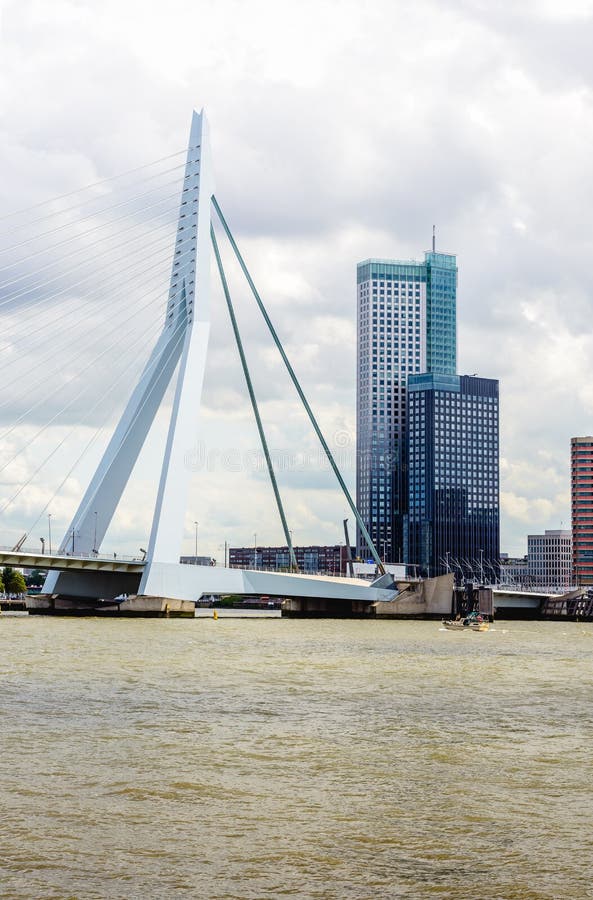 Erasmusbridge E Torre De Meuse Em Rotterdam Fotografia Editorial ...