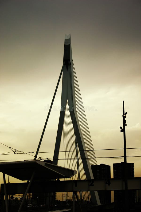 Erasmusbrug Bridge editorial stock image. Image of architecture - 411149