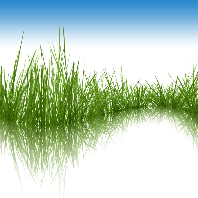 Erba immagine stock. Immagine di giardino, macro, cielo - 7049845