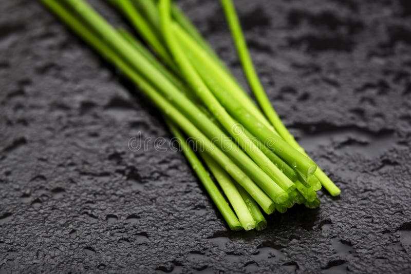 Erba Cipollina Fresca Del Taglio Fotografia Stock - Immagine di gocce ...