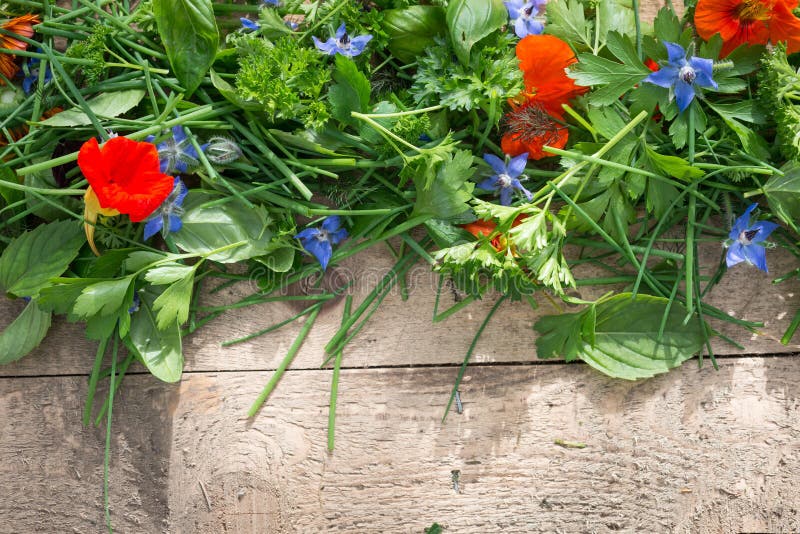 Insalata Dei Fiori E Delle Erbe Commestibili Fotografia Stock ...