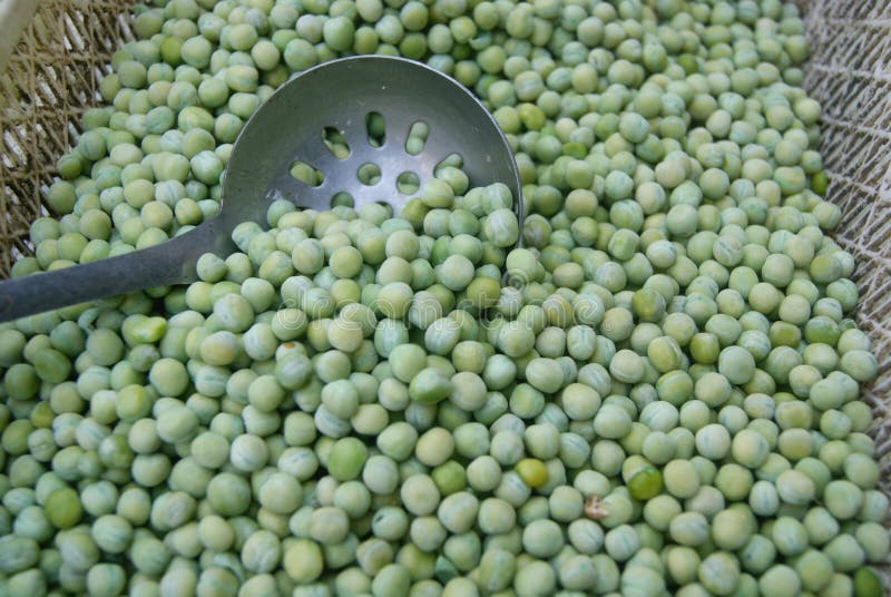 Erbse stockbild. Bild von landwirtschaftlich, landwirte - 41075241