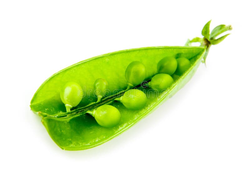 Erbse stockfoto. Bild von saatgut, lebensstil, nahrung - 46951676