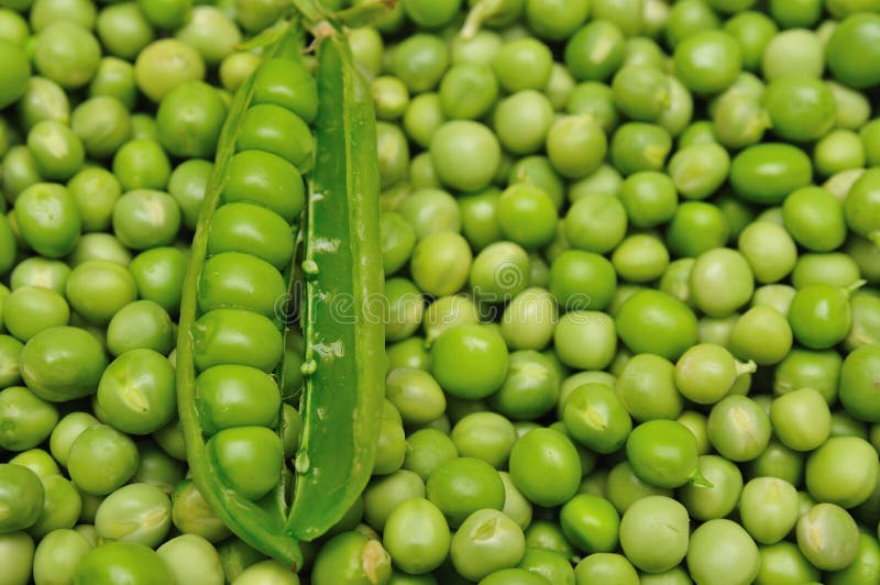 Erbsen stockbild. Bild von studio, korn, nahrung, mittel - 16113173