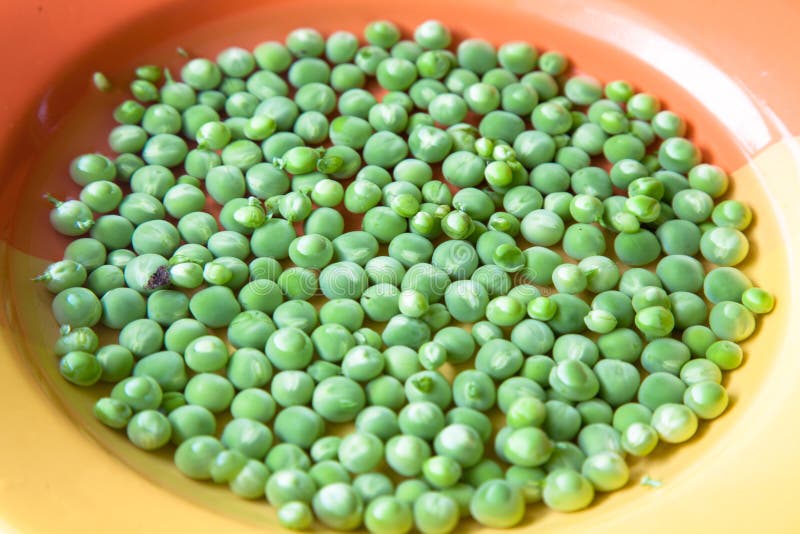 Erbsen stockfoto. Bild von ansicht, erbsen, landarbeiter - 41554984