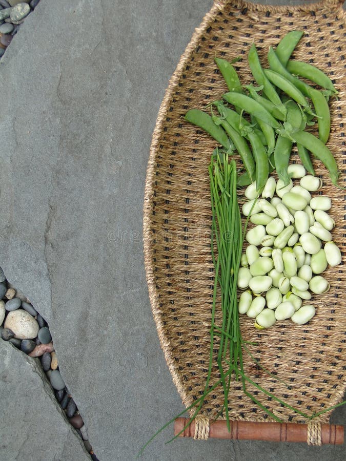 Erbsen, fava Bohnen stockbild. Bild von korb, bohnen - 16300245